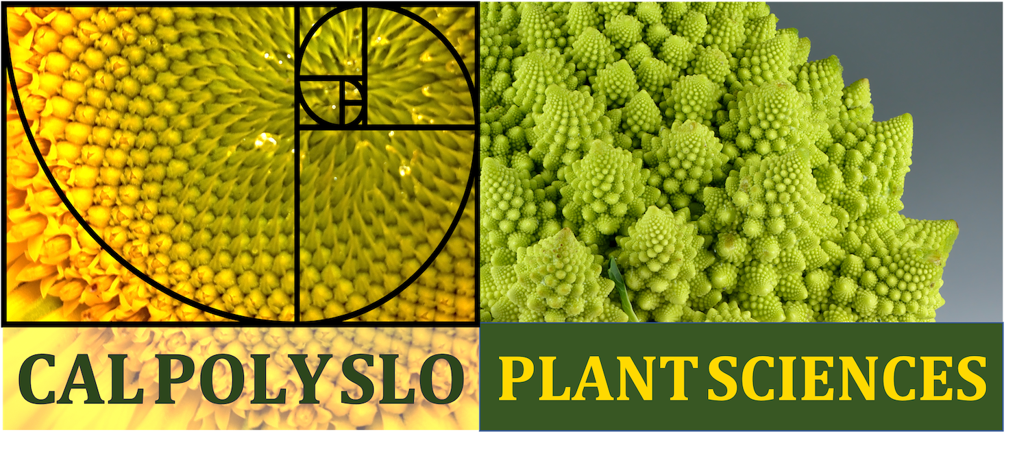 PLSC Major and Minors - Plant Sciences - Cal Poly, San Luis Obispo